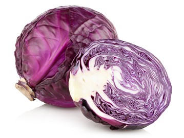 Rode kool - Mattheeussens-Wido B.V.